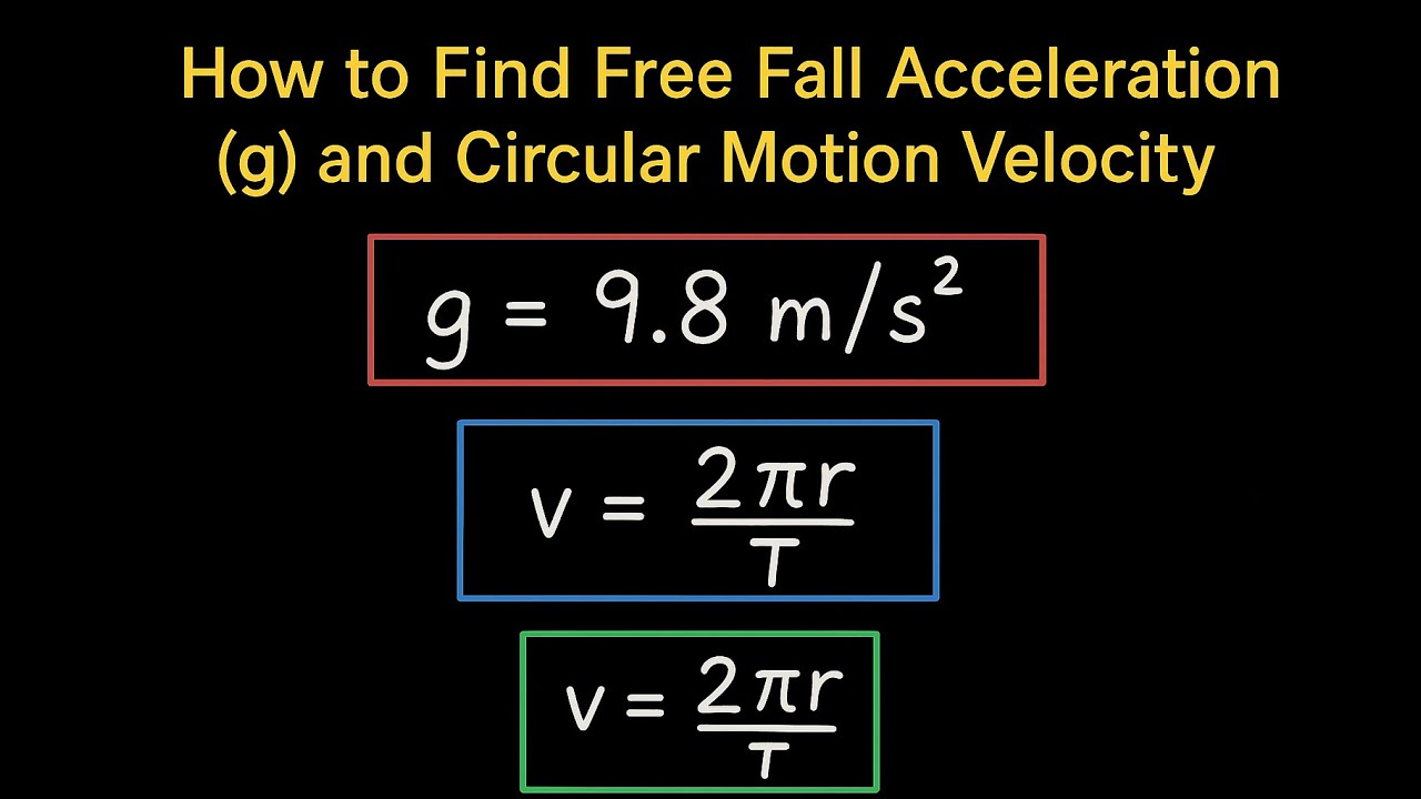How to Find Free Fall Acceleration (g) and Circular Motion Velocity ...