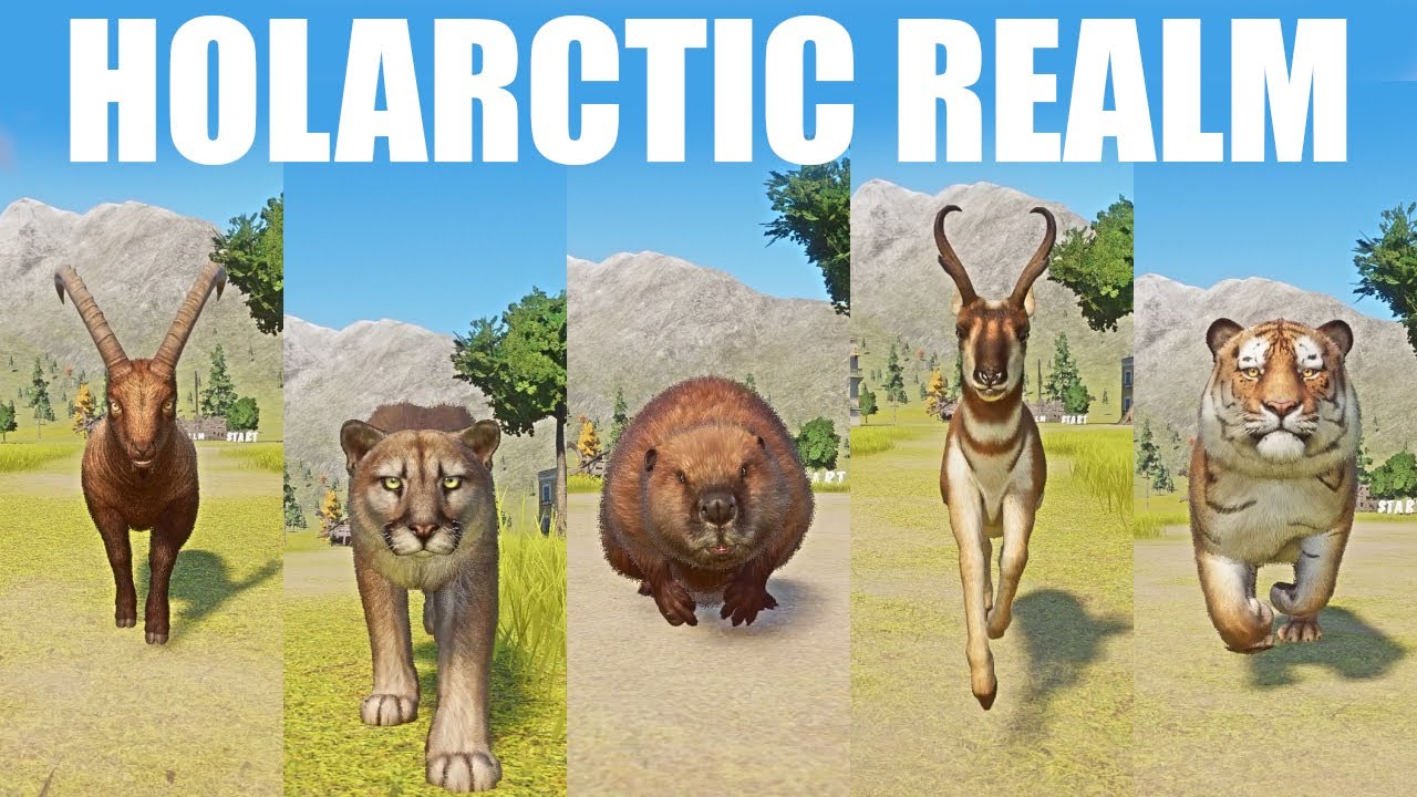Animals from the Holarctic Realm Speed Races in Planet Zoo included ...