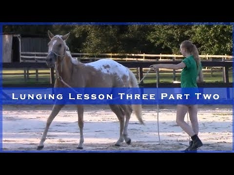 Lunging Lesson Three Part Two - YouTube