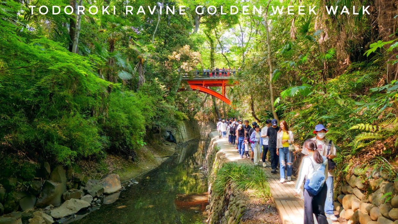 Futakotamagawa to Todoroki Ravine - Tokyo Walk During Golden Week - YouTube
