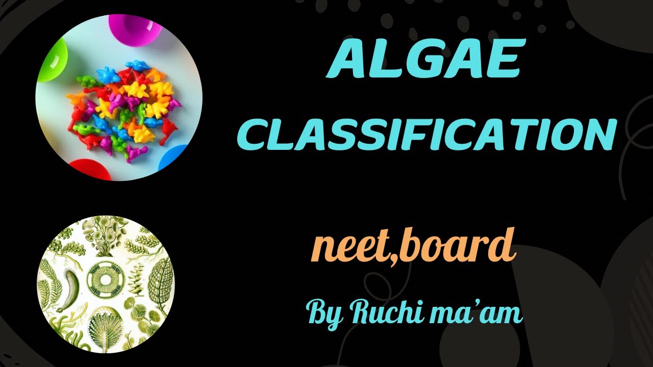 Algae : classification, economic importance | biology|plant kingdom ...