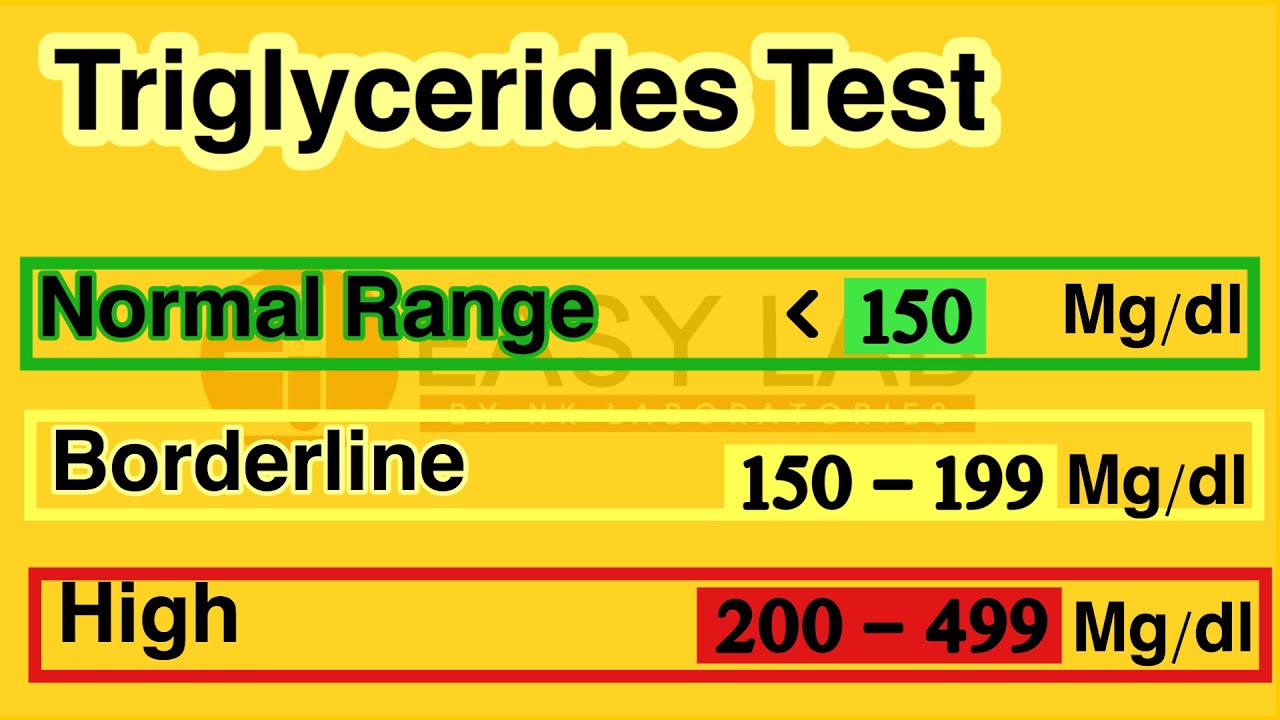 Triglycerides Test In Urdu hindi Triglycerides Test Normal Ranges YouTube triglycerides-test-in-urdu-hindi-triglycerides-test-normal-ranges-youtube