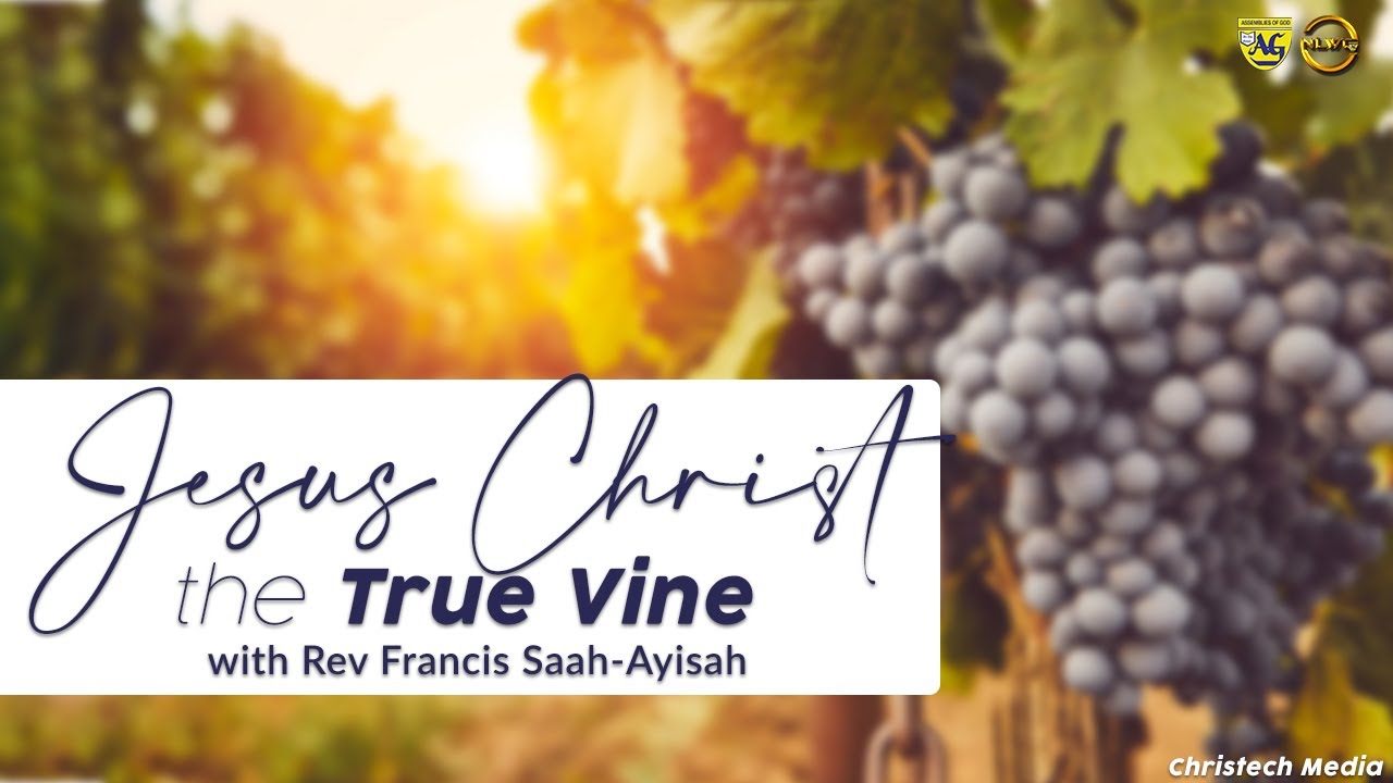 Jesus Christ The True Vine - YouTube