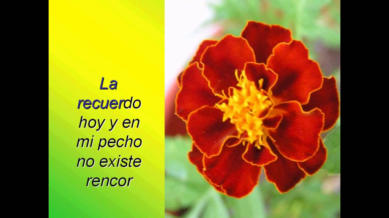 LLORANDO SE FUE -LOS KJARKAS - KARAOKE - YouTube