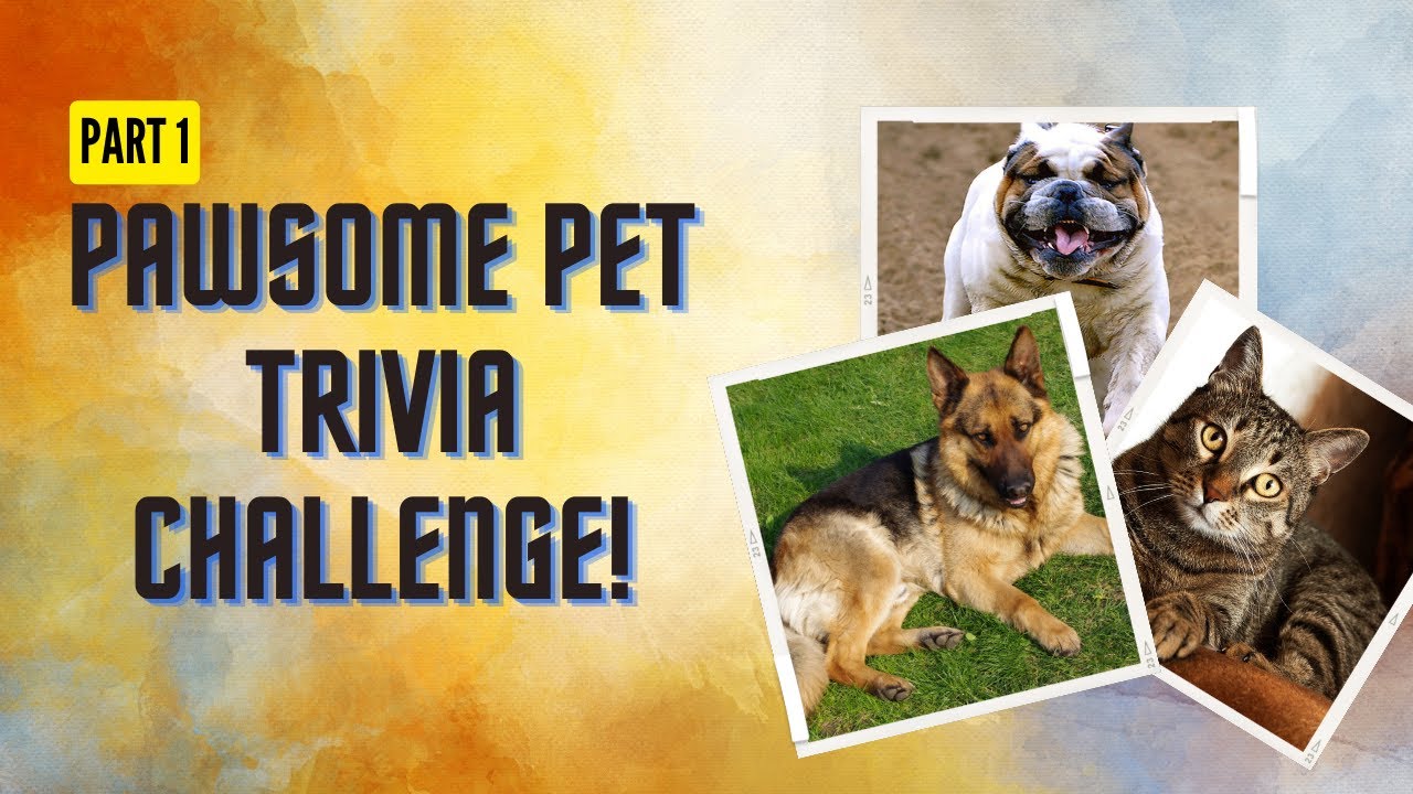 The Ultimate Pet Quiz: Are You Ready to Purr-fect Your Knowledge ...