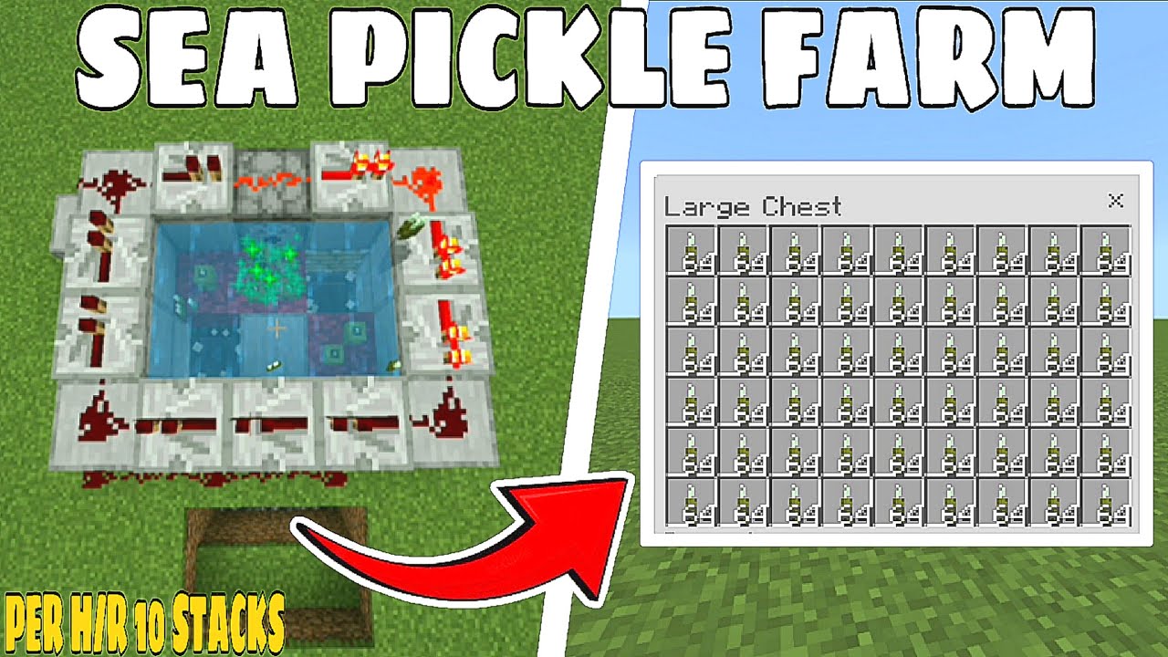 Minecraft: Make An Easiest Automatic Sea Pickle Farm! 😱😃 - YouTube