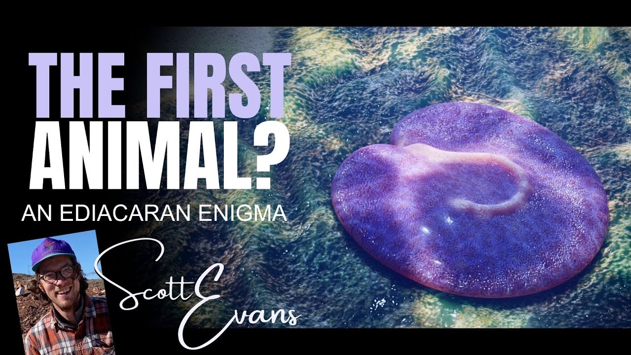 The First Animal? An Ediacaran Enigma - PROFESSOR SCOTT EVANS - YouTube