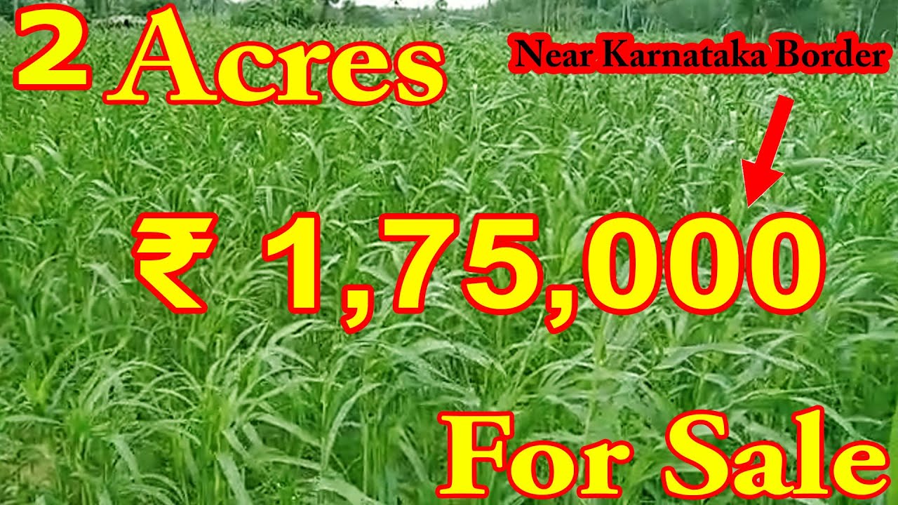 2 Acres Low Price Land For Subscribers | Near Karnataka Border Rate ₹ 1 ...