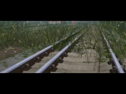 Khổ 1435mm & 1000mm Trainz Simulator Vietnam Ray - YouTube