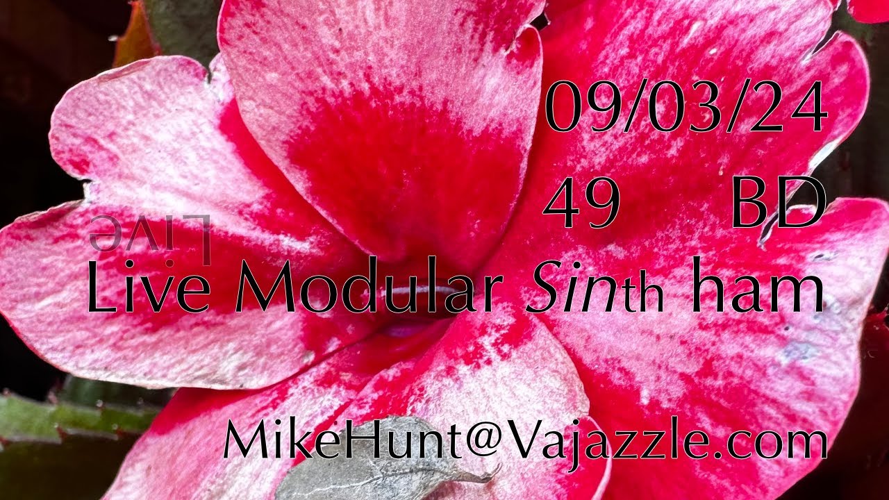 Eurorack Modular Strawberry Jam (Everyone is electrocuted) - YouTube