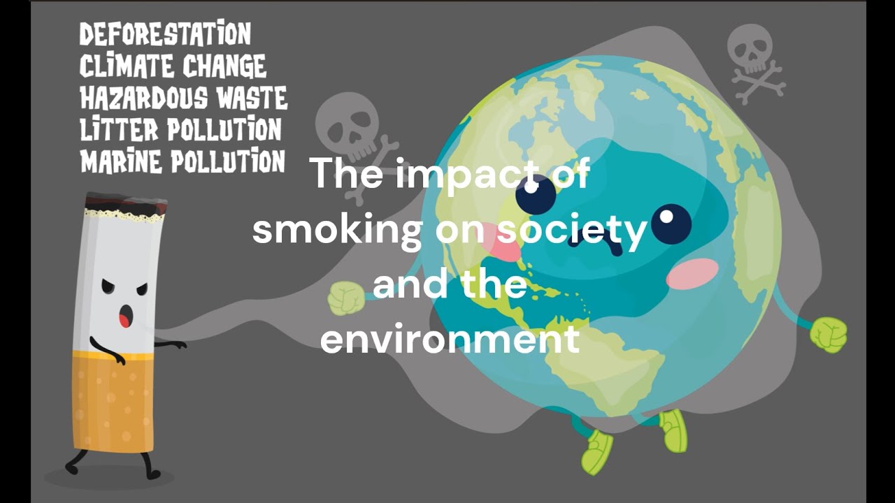The impact of smoking on society and the environment - YouTube