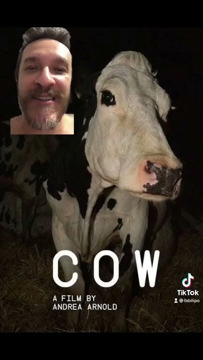 COW em 60 segundos ou menos #javiu #1filmepordia #mubi #cow #vegan #fy ...