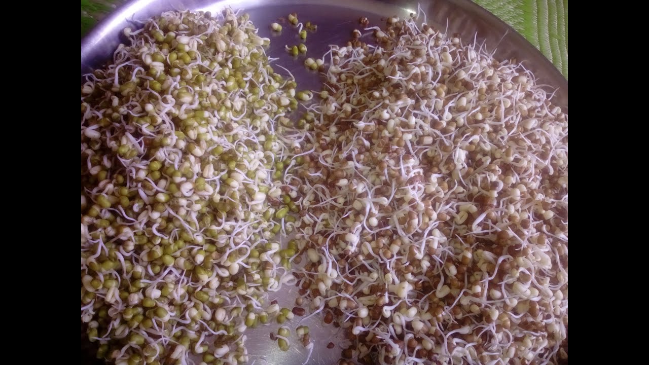 Matkila mod kadhaychi soppi padhat l Matki l mejwani masalal mataki l ...