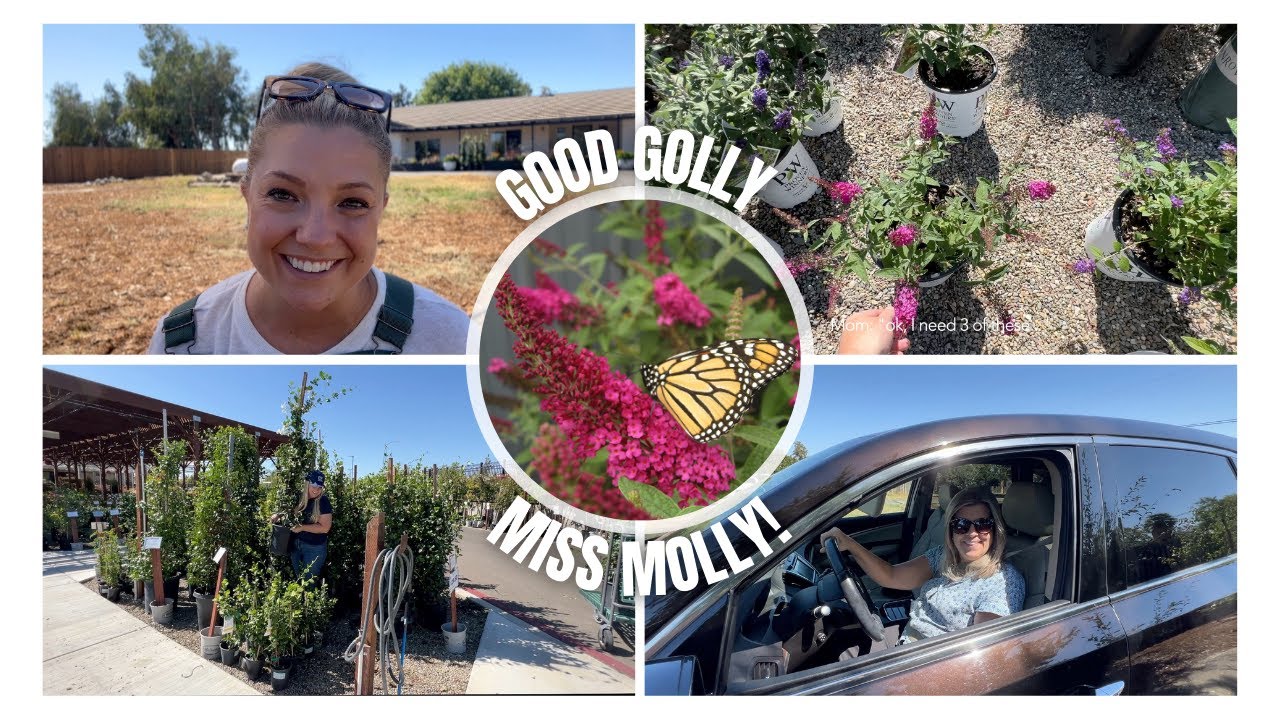 Plant Shopping for Proven Winners Miss Molly Butterfly Bush with My Mom ...