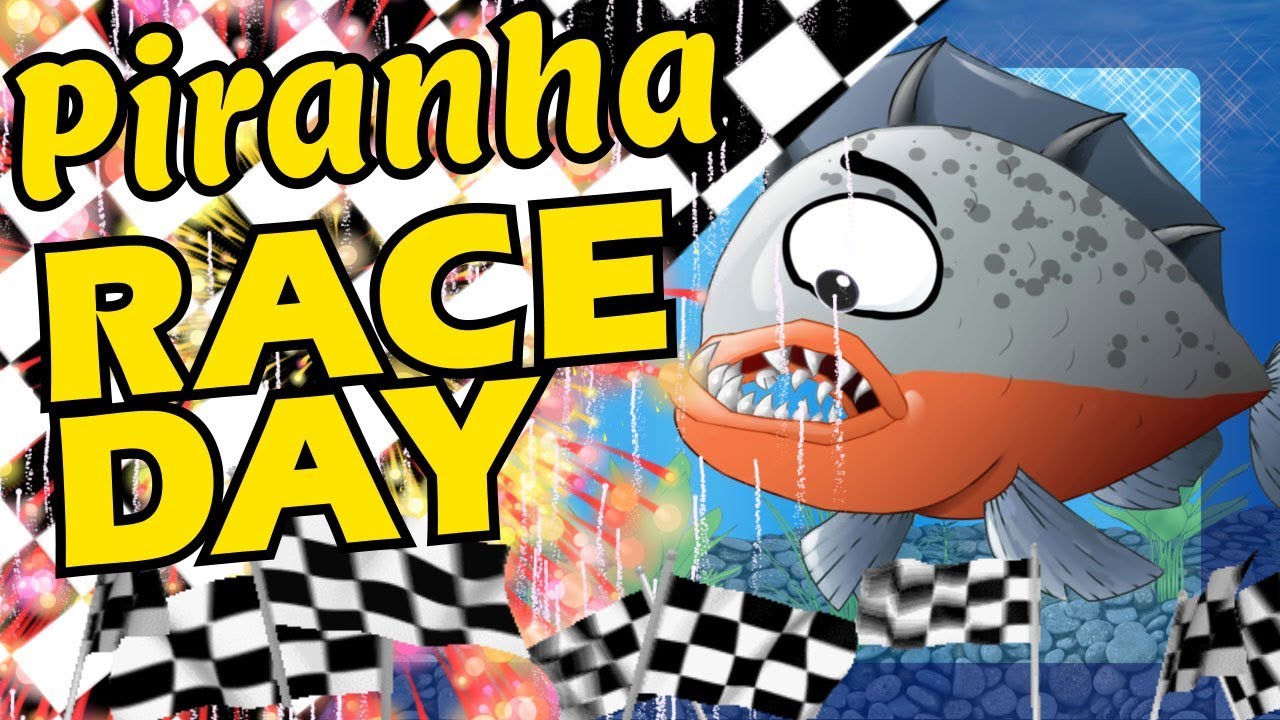Piranha Race with Numbers and Place Order Educational Math Video for ...