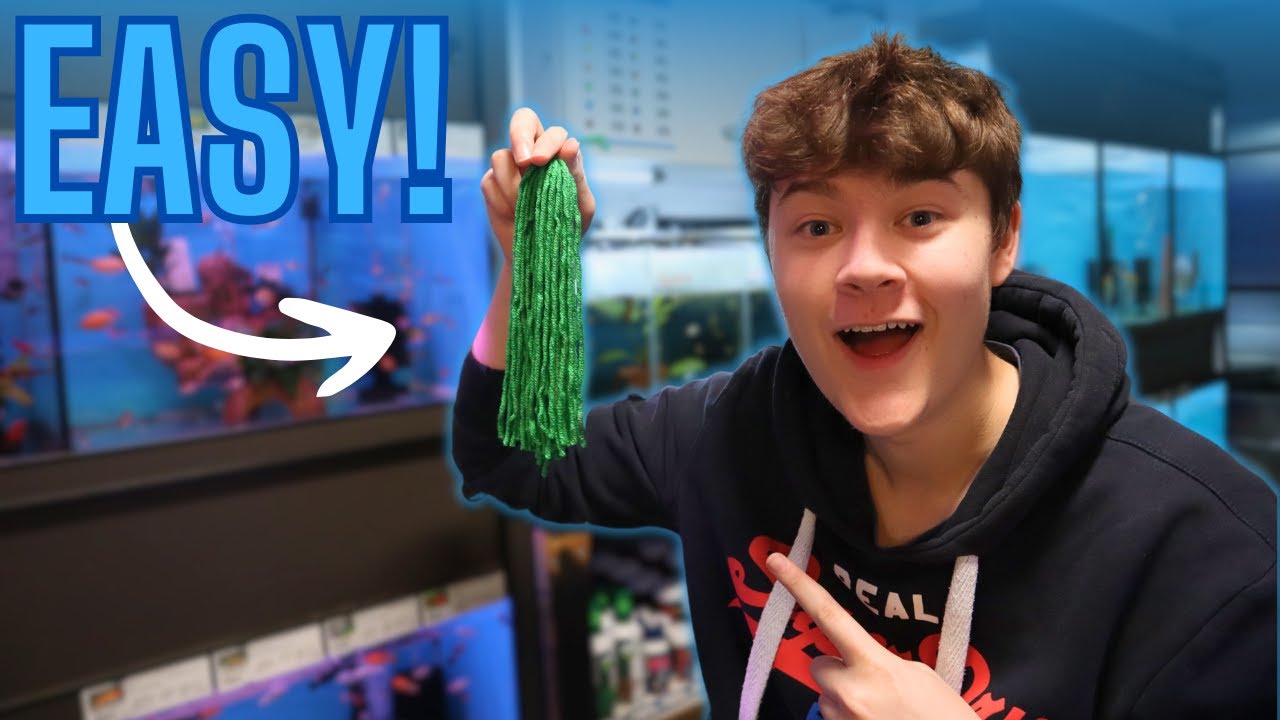 BREED 1000's Of FISH With This 1 Thing! (How To Make A Spawning Mop ...