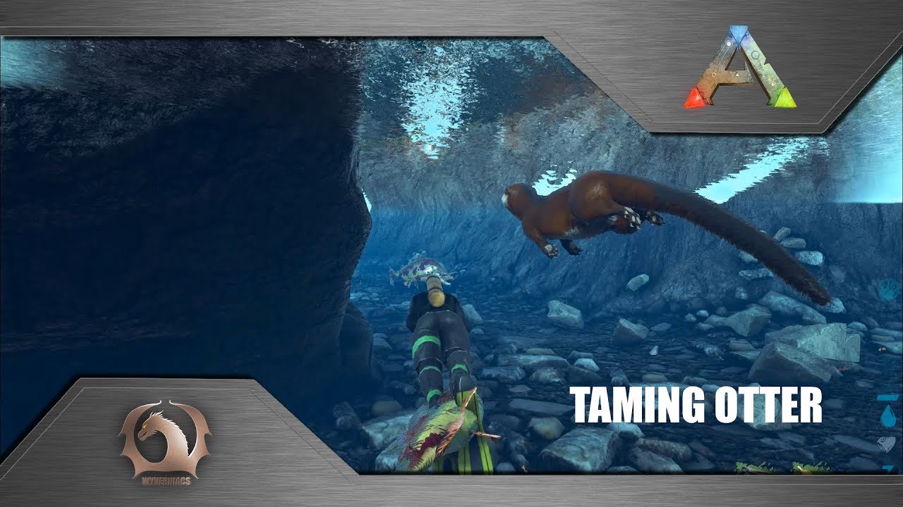 Ark Survival Evolved - Taming Otter - YouTube