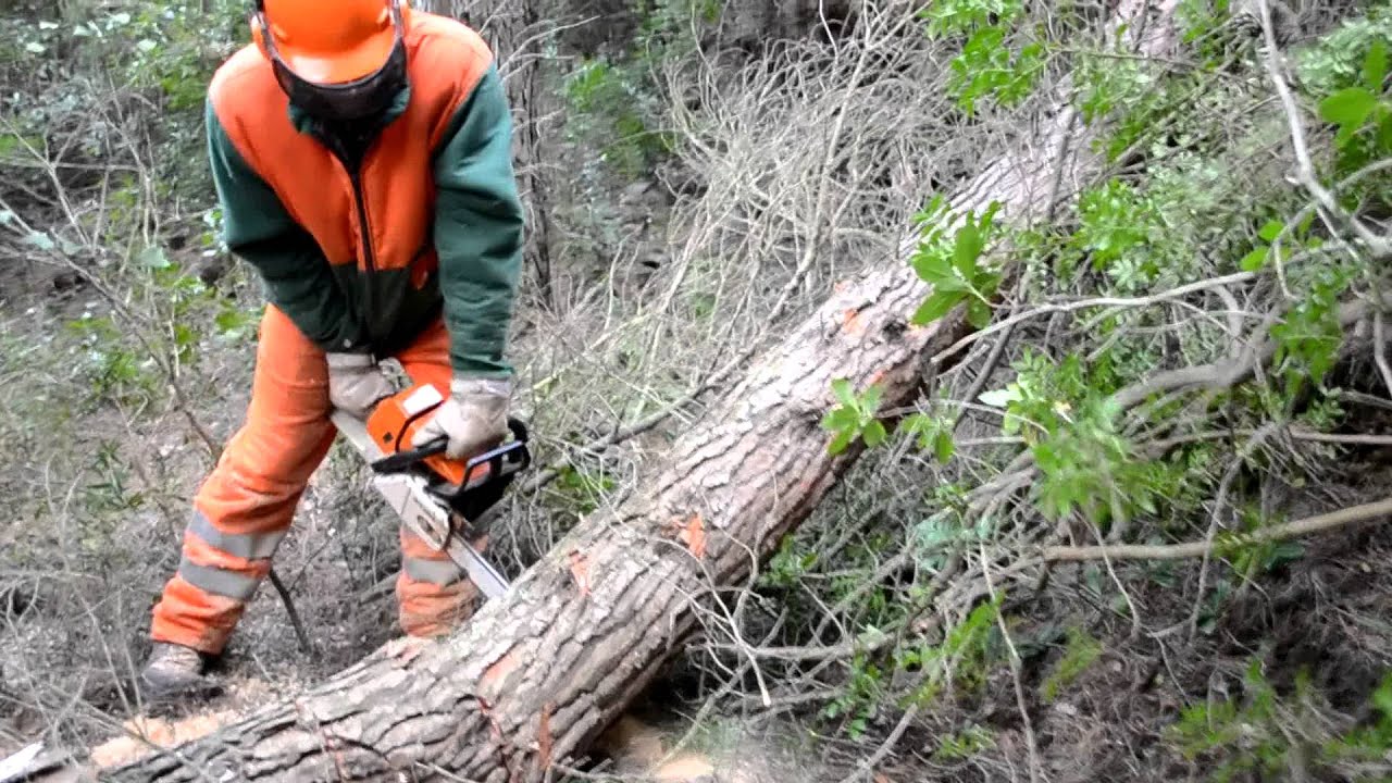 motosega stihl - YouTube