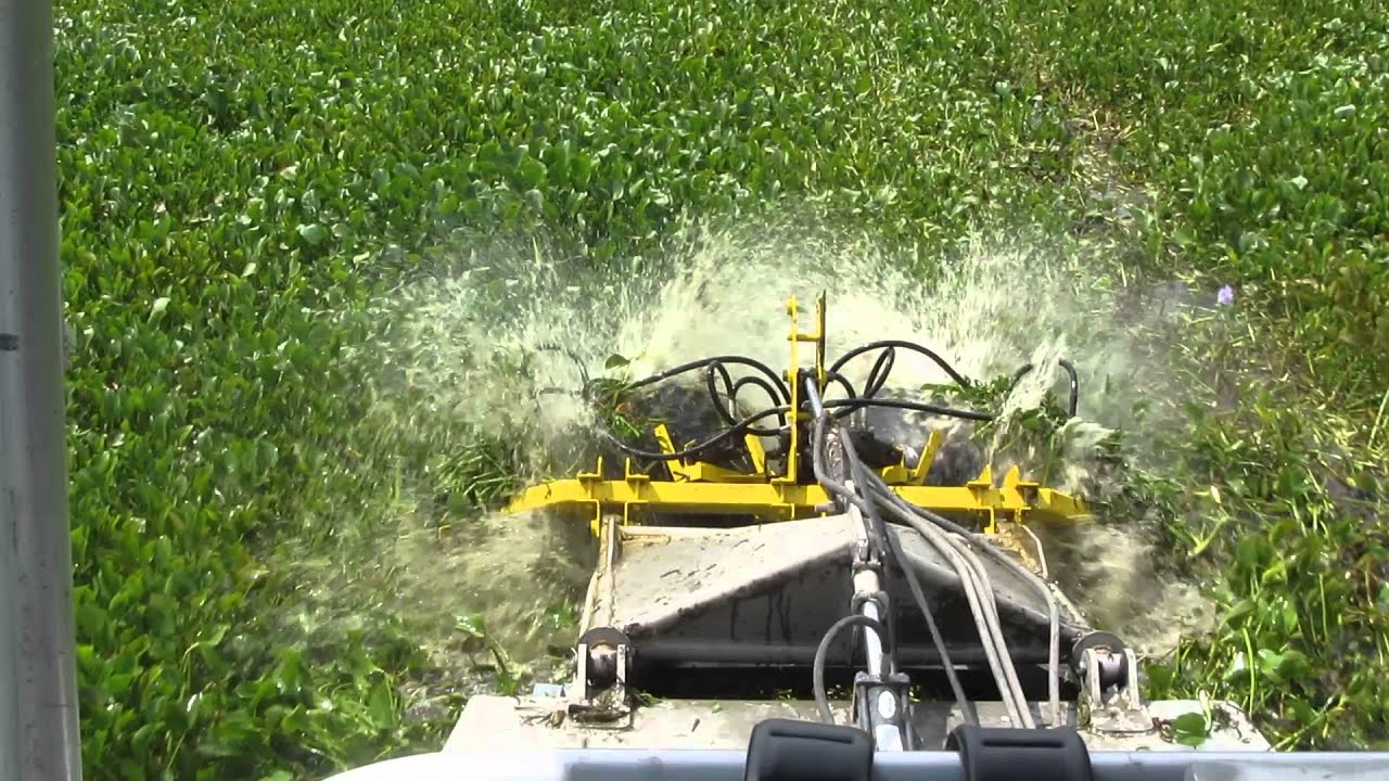 AQUATIC SHREDDER VIDEO 2 - YouTube