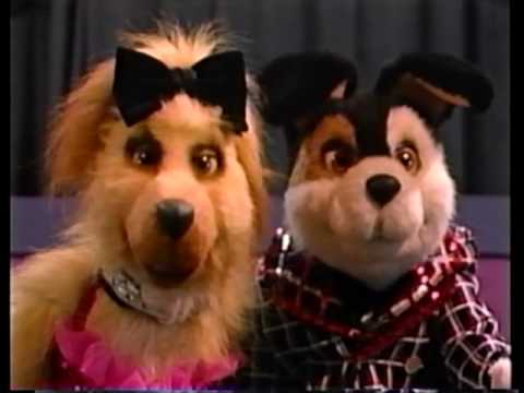 Meet Toby Terrier - YouTube