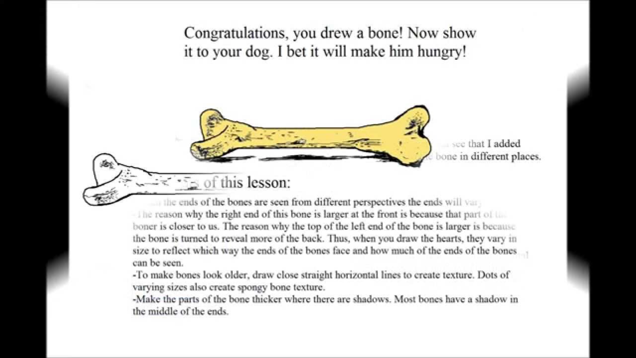 How to Draw a Dog Bone / Bones - YouTube