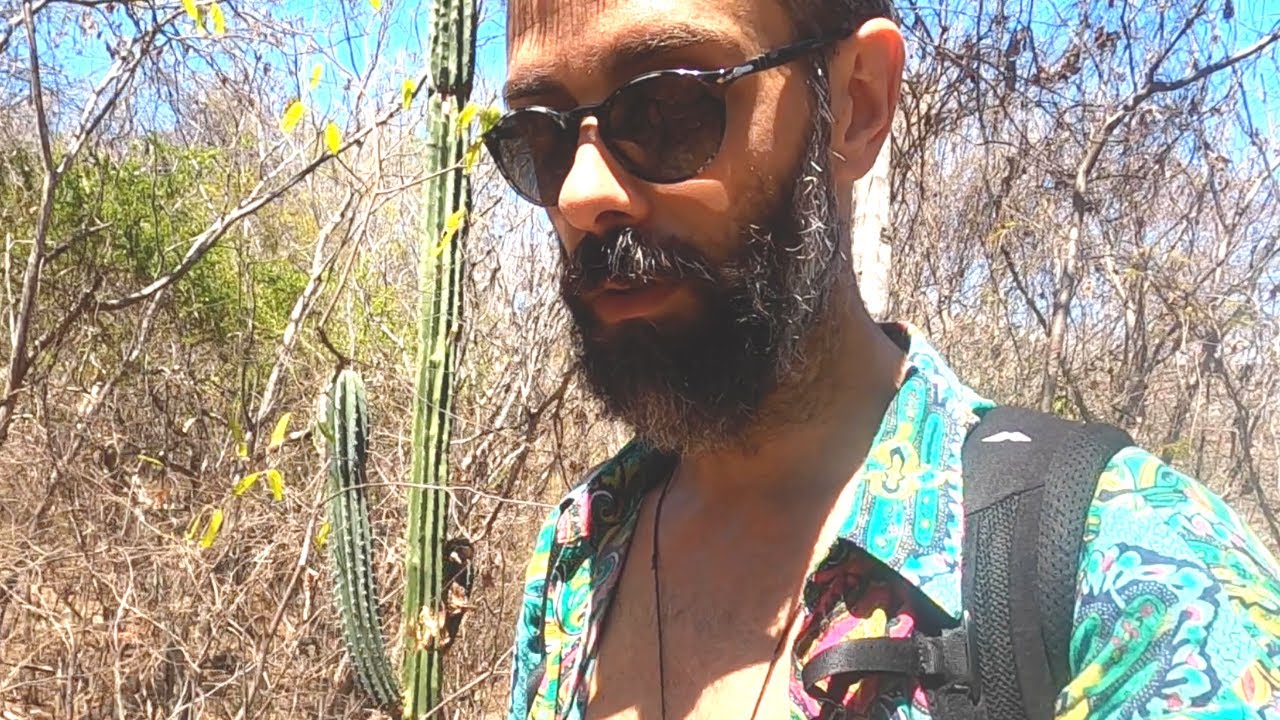 I Got Lost Trying To Find El Tejoncito Beach in Huatulco · OAXACA ...