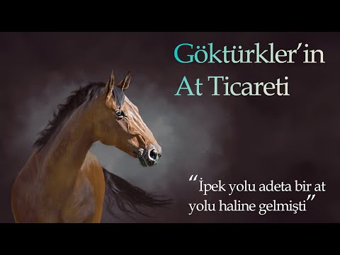 Tang Hanedanı Döneminde Göktürklerin At Ticareti