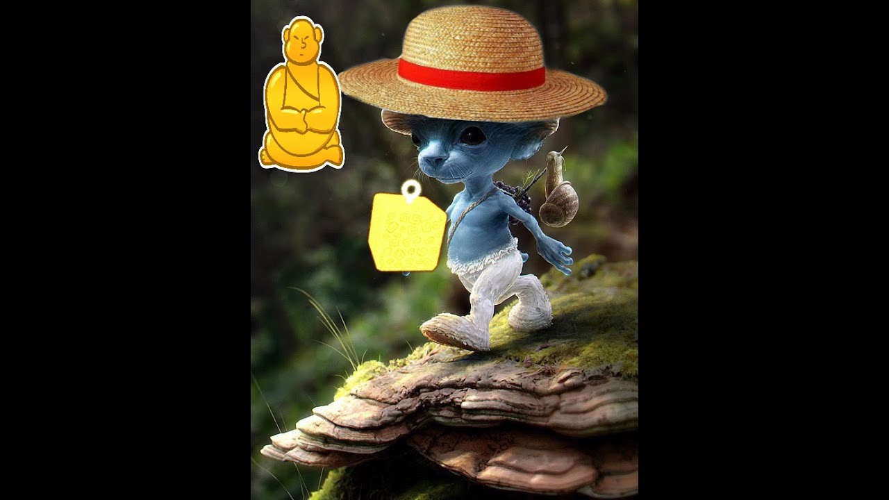 Me compro la Buddha PERMA!!!! - YouTube