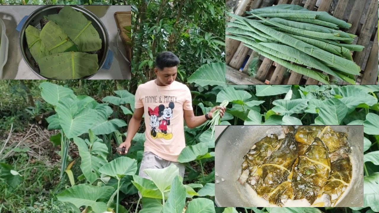 Pagkuha ng gabi para sa lulutuin ni ate + bisitahin ang mga tanim ni ...