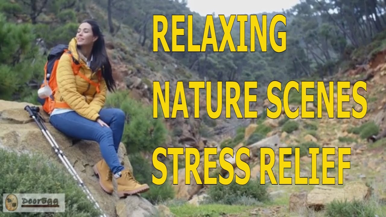 Relaxing NATURE SCENES with Music for STRESS Relief - YouTube