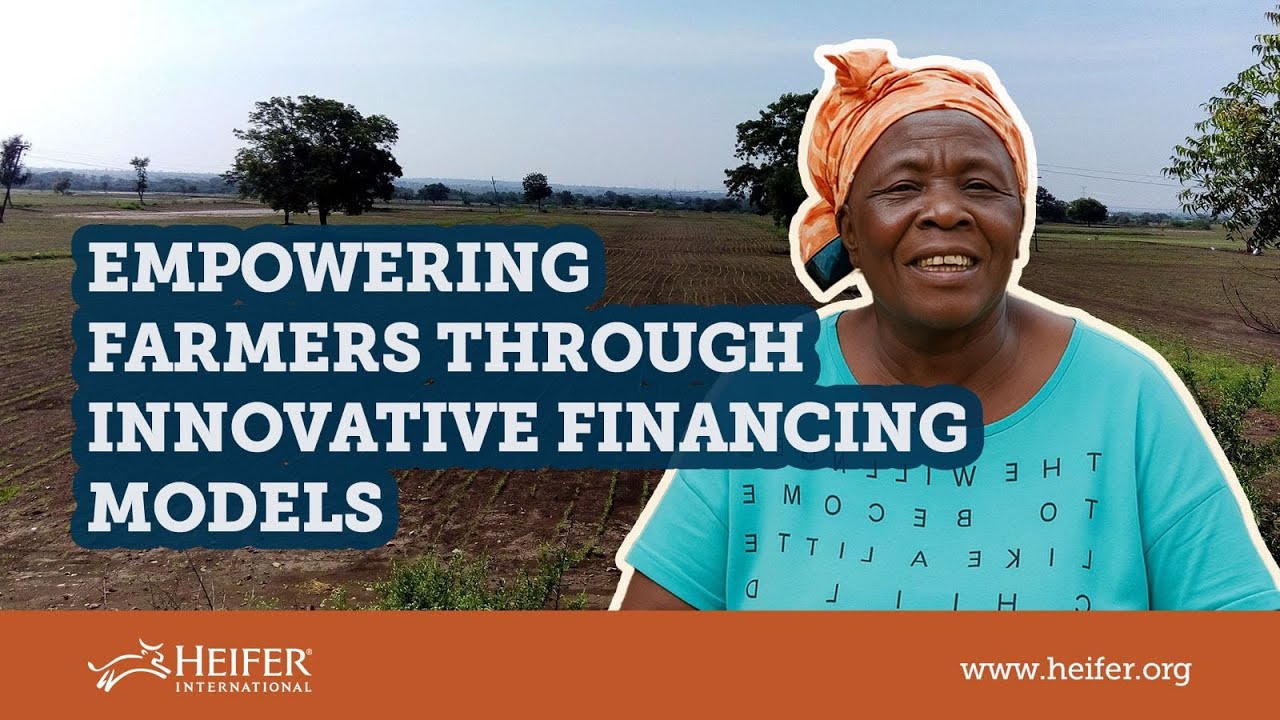 How innovative financing like Pay-at-Harvest Insurance supported ...
