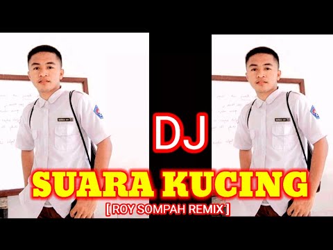 DJ TERBARU ‼️-SUARA KUCING -‼️[ ROY SOMPAH REMIX ]2022