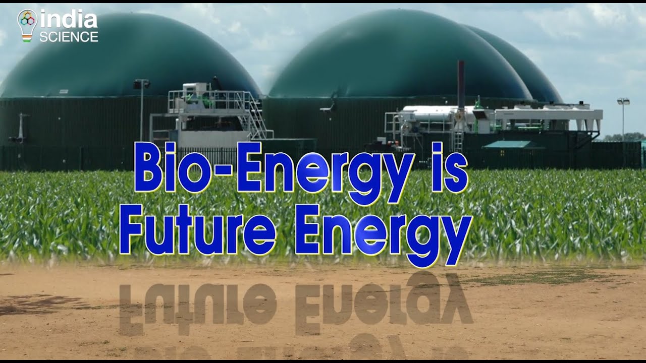 Bioenergy is future energy (H) - YouTube