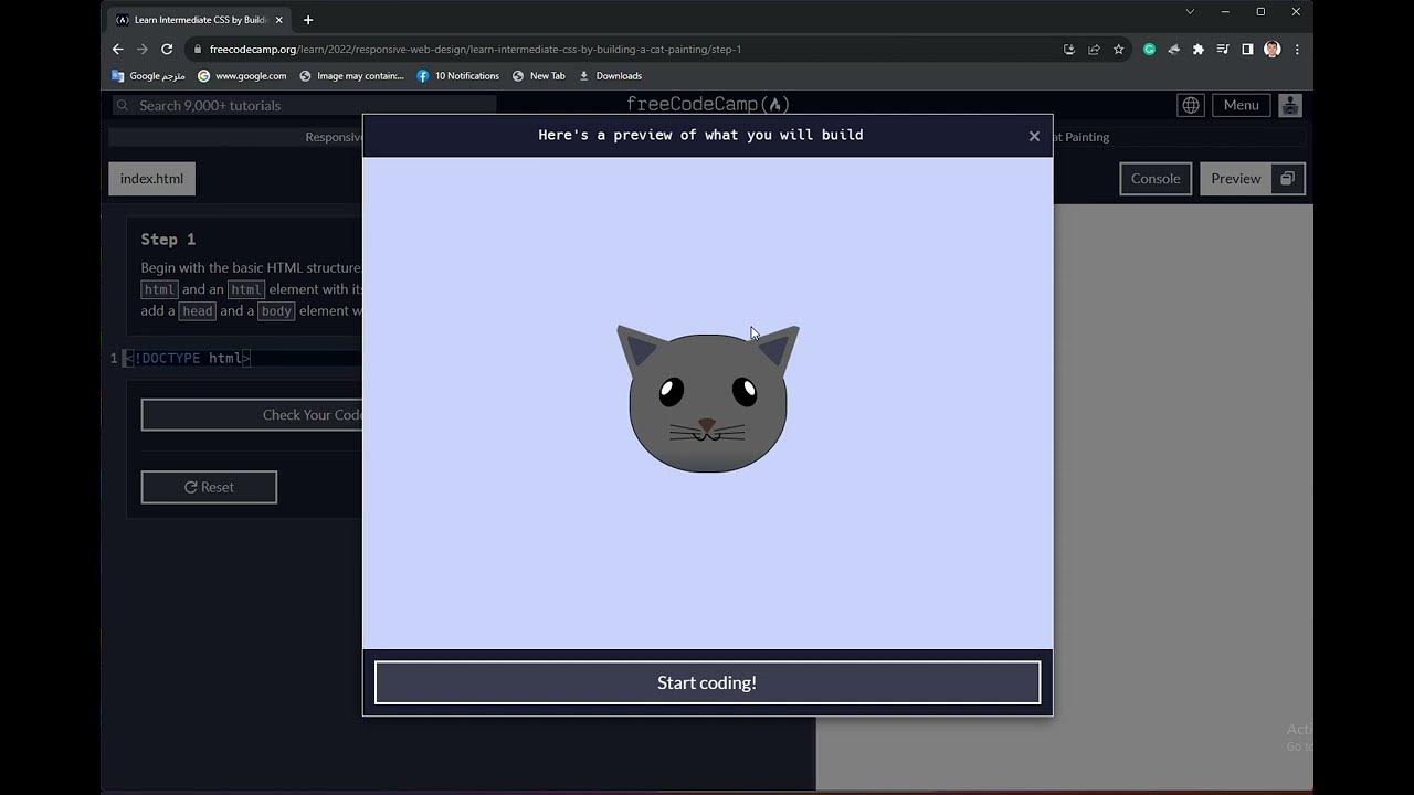 FreeCodeCamp Building a Cat Painting 1-10 - YouTube