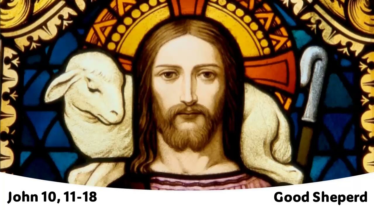 Commentary On The Gospel John 10 11 18 IV Sunday Of Easter YouTube Commentary On The Gospel John 10 11 18 IV Sunday Of Easter YouTube