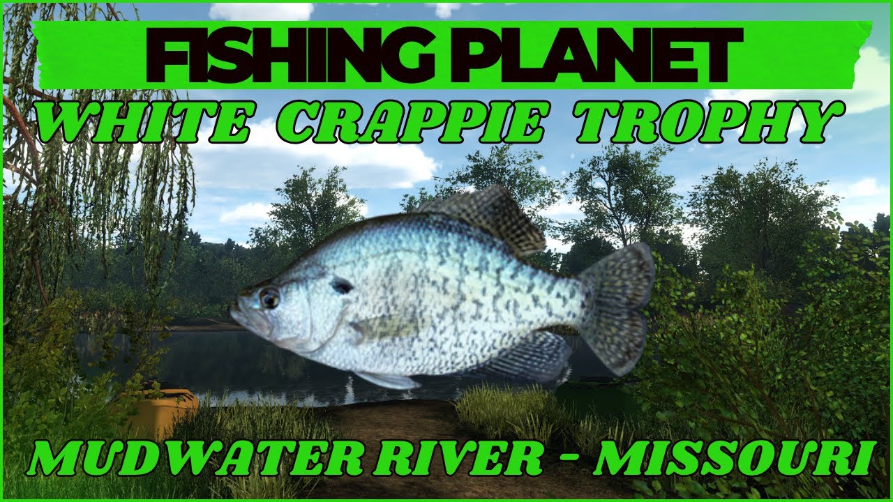 White Crappie Trophy - Mudwater River - Missouri - Fishing Planet - YouTube