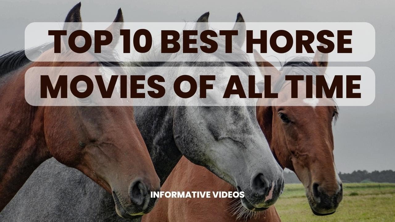 Top 10 Best Horse Movies Of All Time - YouTube