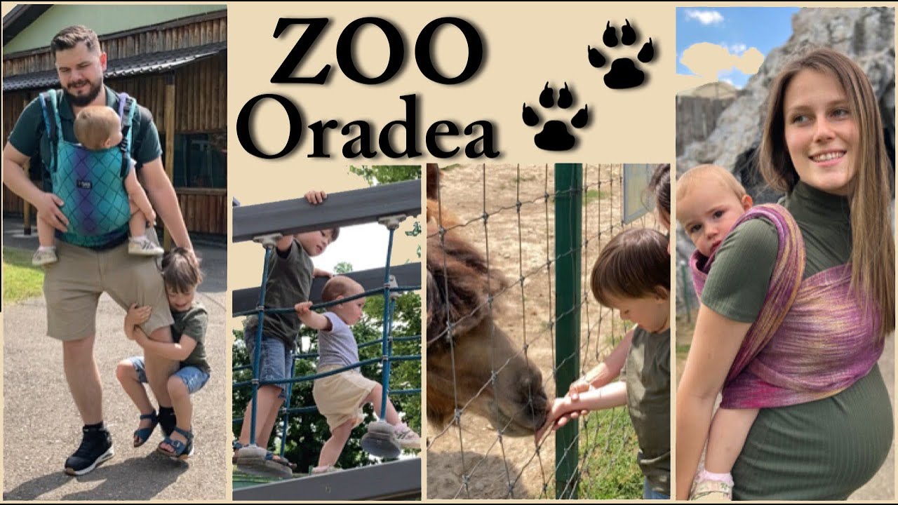 La Gradina Zoologica din Oradea - YouTube