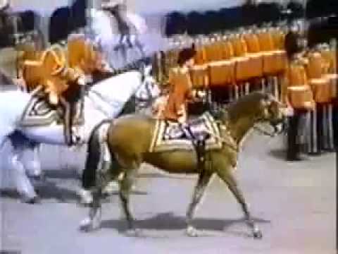 British Royalty Bloodline To Egyptian Pharaoh - YouTube