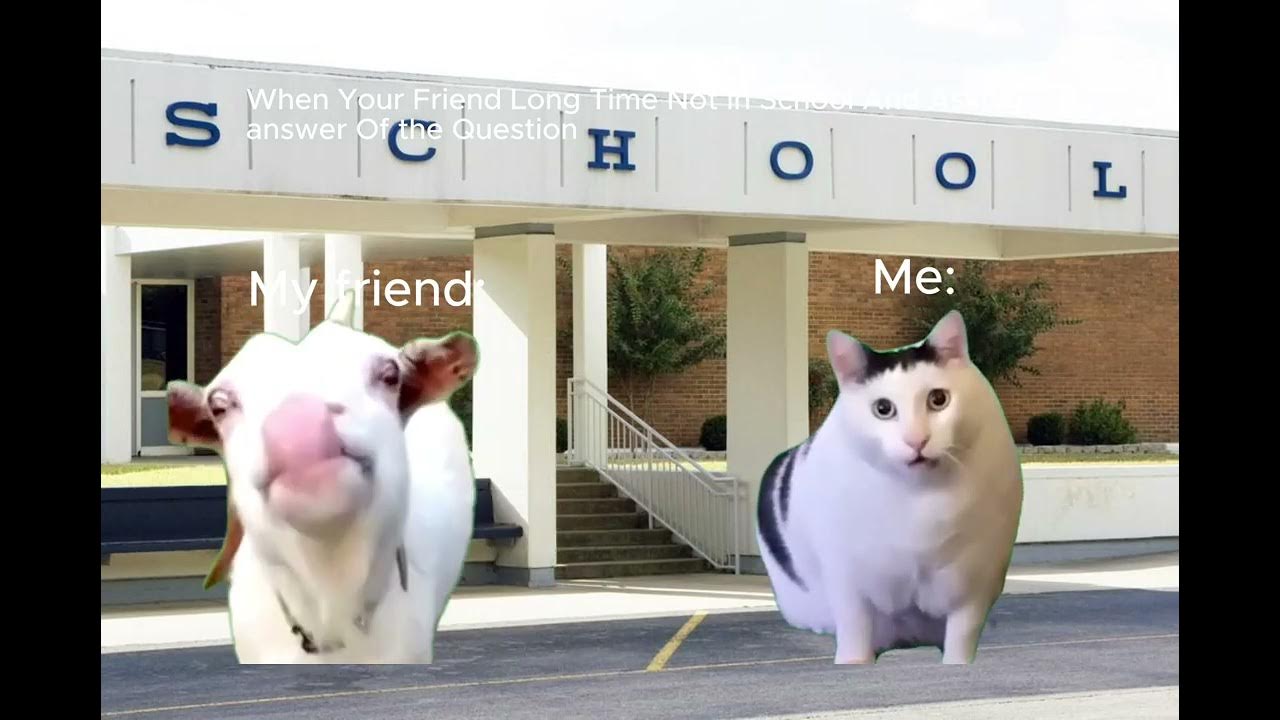 When You're friend not school for long time and asking question: - YouTube