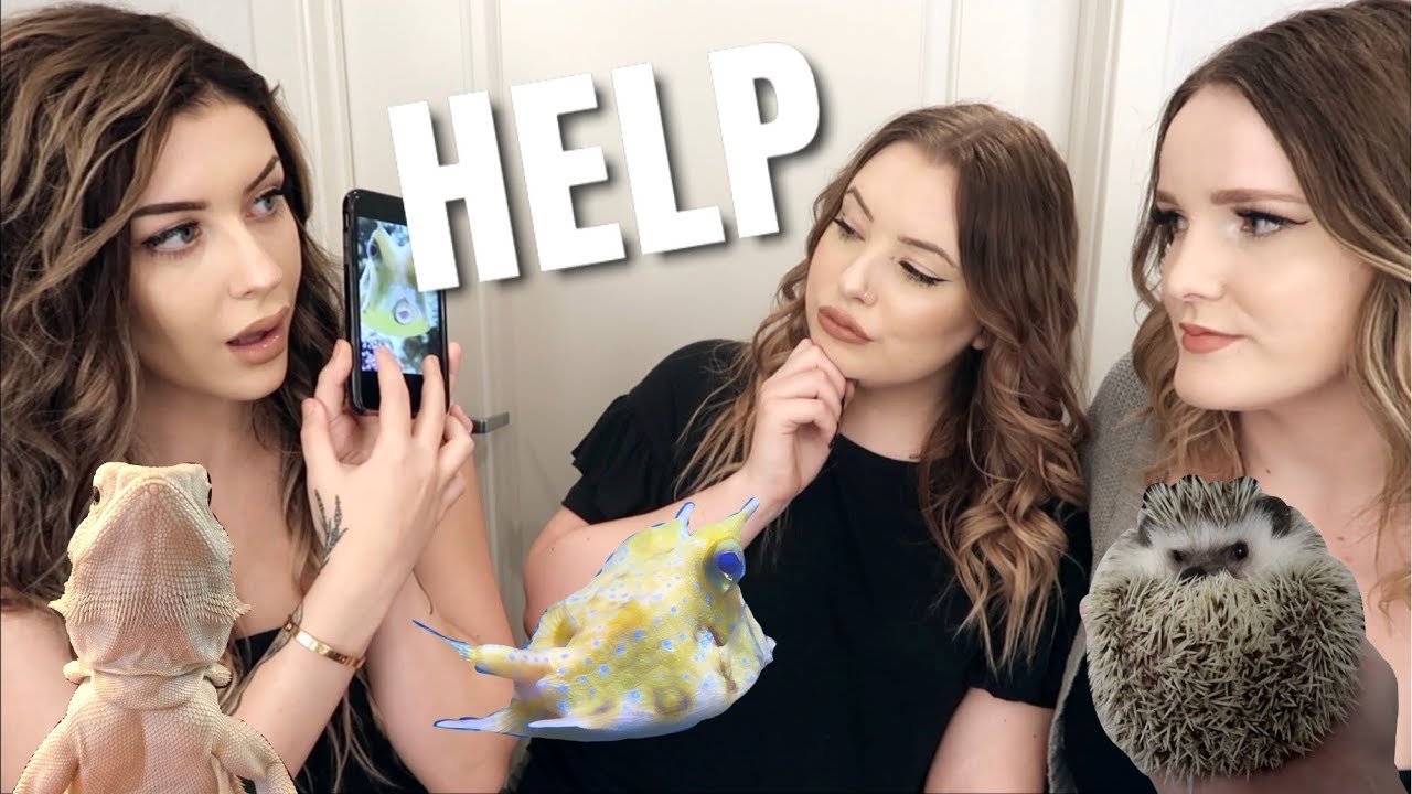 GUESSING OUR PETS!? w/ Taylor Nicole Dean and Emilee Rose (Taylor ...