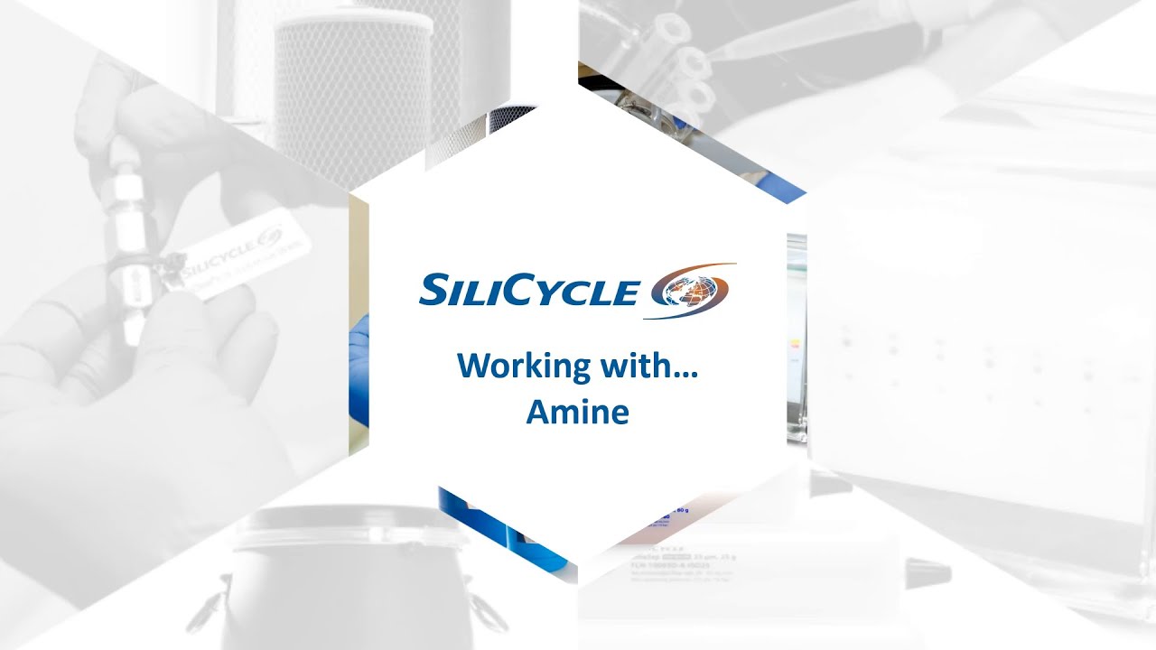 Working with Amine (WAX) Silica Phase - YouTube