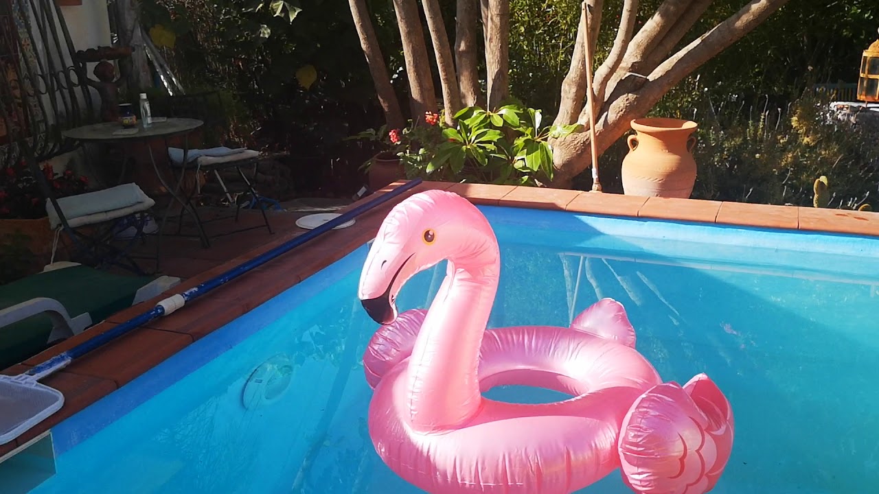 Sunday Daybreak poolside, high summer - YouTube