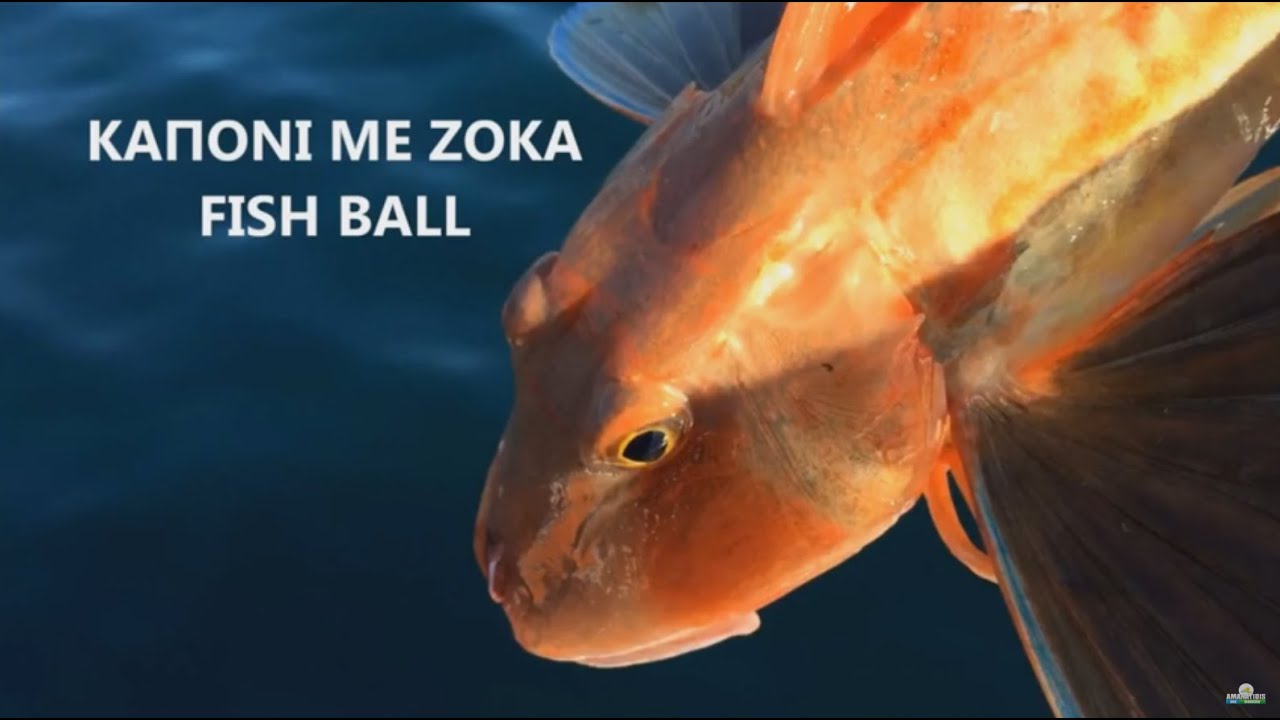ΨΑΡΕΜΑ ΜΕ ΖΟΚΑ FISH BALL - ΚΑΠΟΝΙ - YouTube