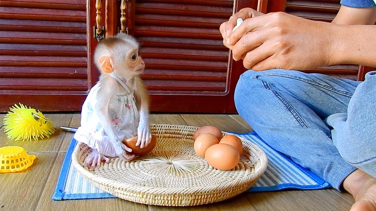 Docile JULIE Be A Lovely Daughter To Be Close With All Time. - YouTube