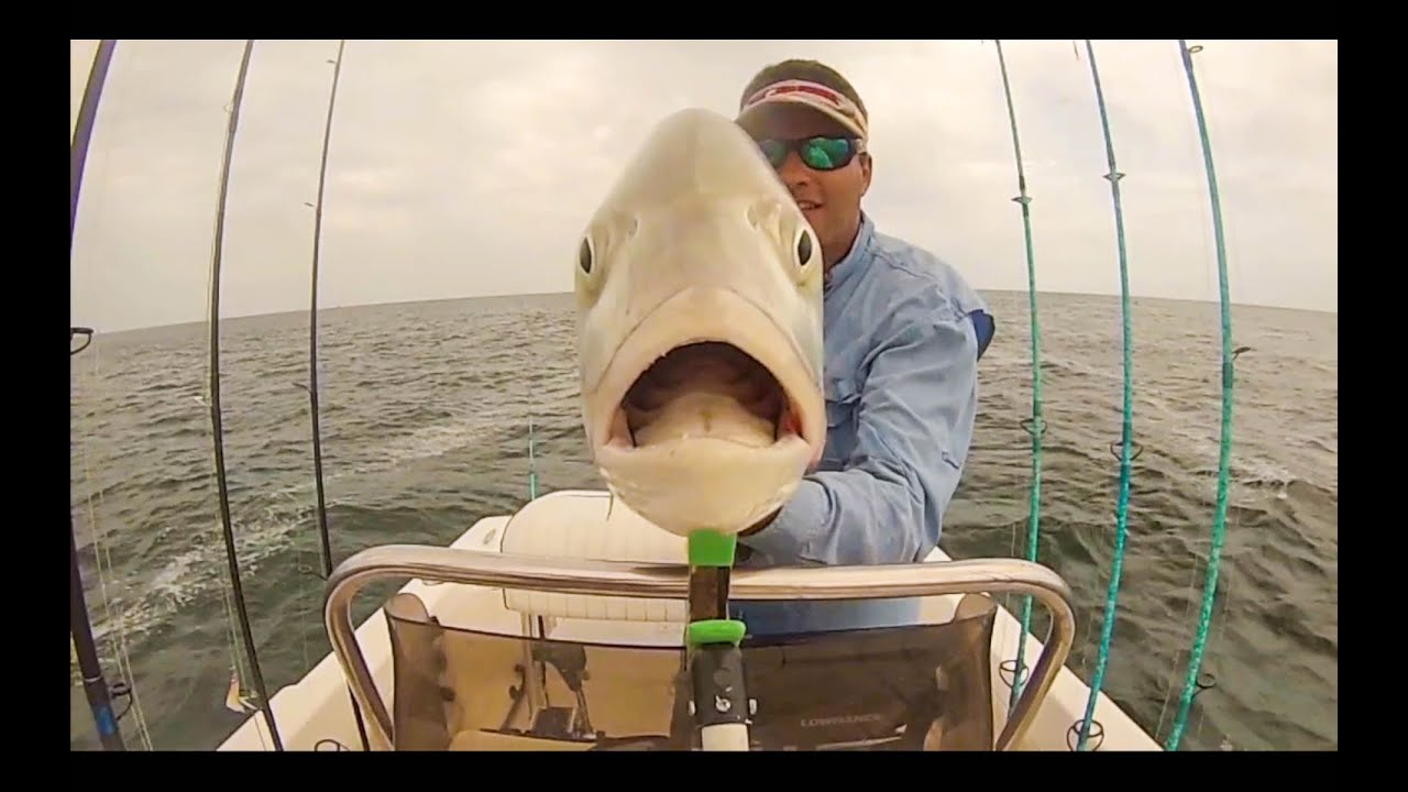 South Florida Stuart - Live Bait Fishing for Jacks and Sharks - HD ...