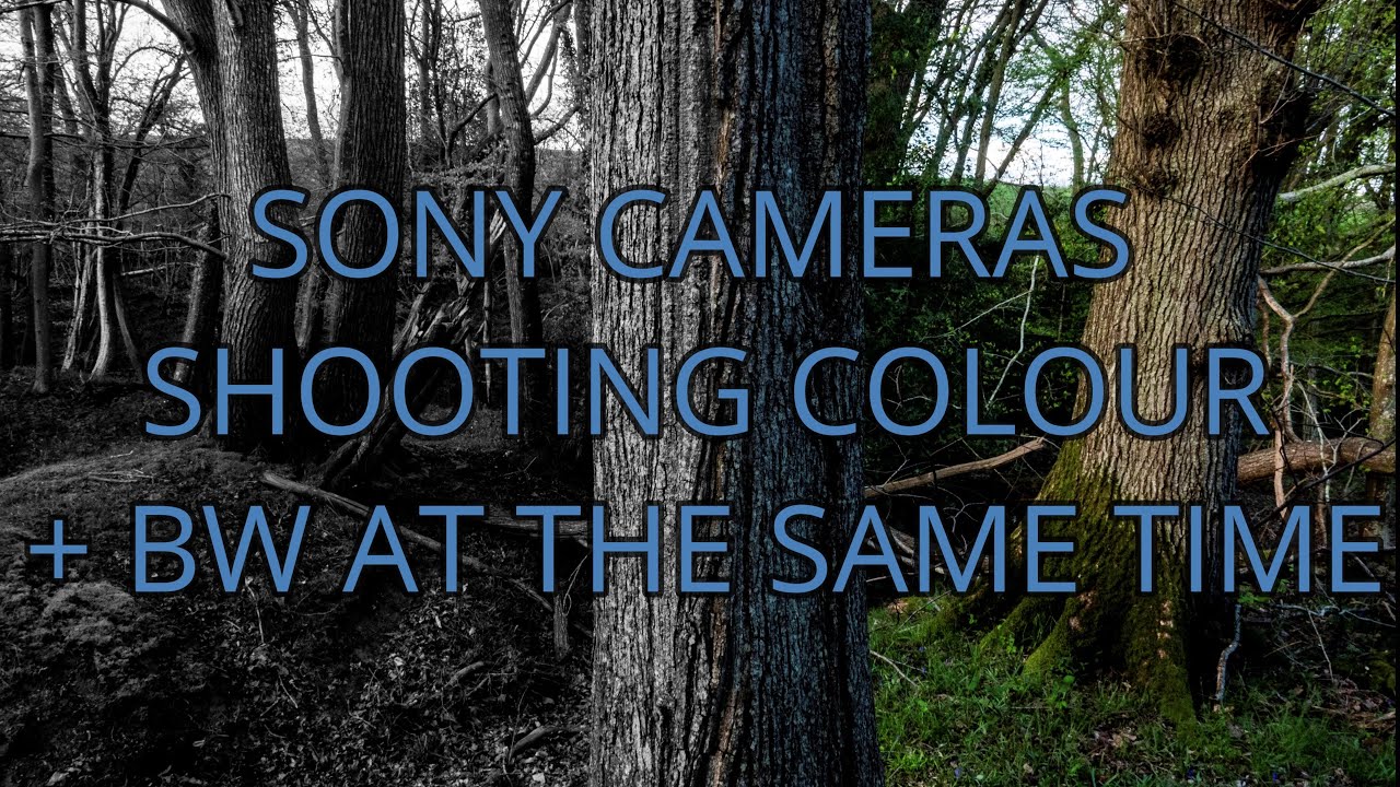 Shooting black and white and colour at the same time with your sony ...