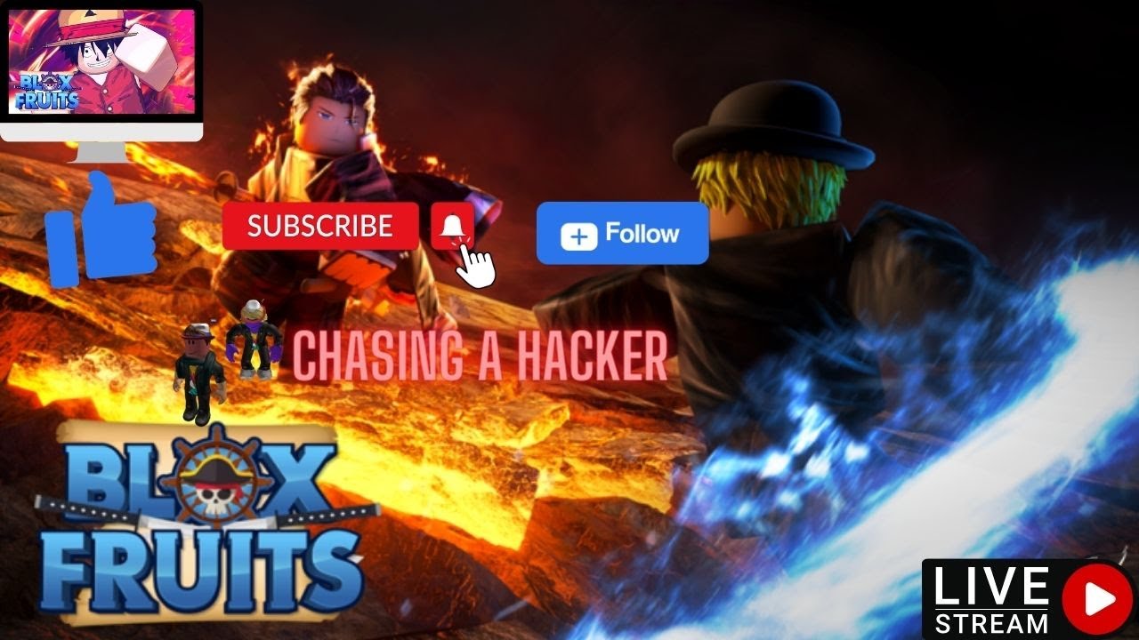 chasing a hacker in blox fruits - YouTube