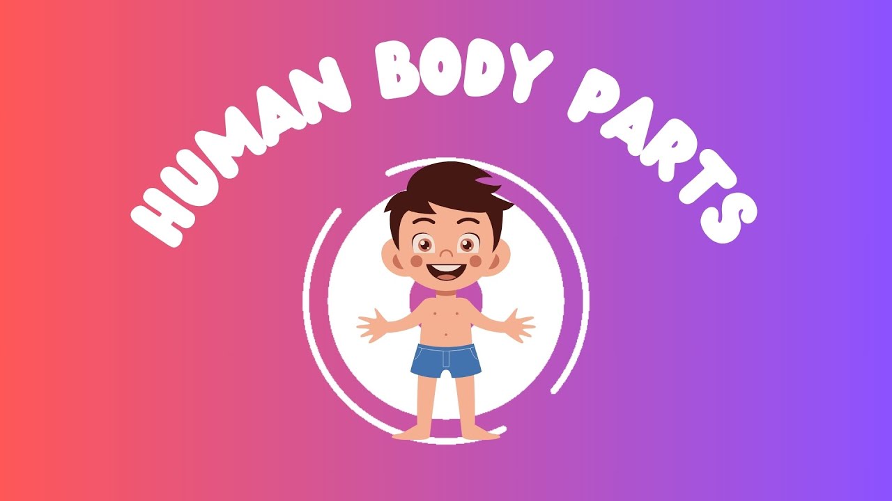 Learn Body Parts for Kids | Fun & Interactive Educational Video! | The Curious Echo - YouTube