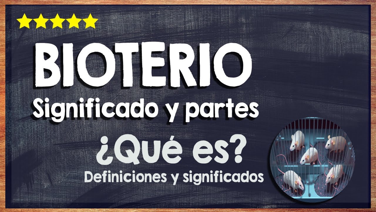 🙏 ¿Qué es un bioterio? - Significado, partes y características de los ...